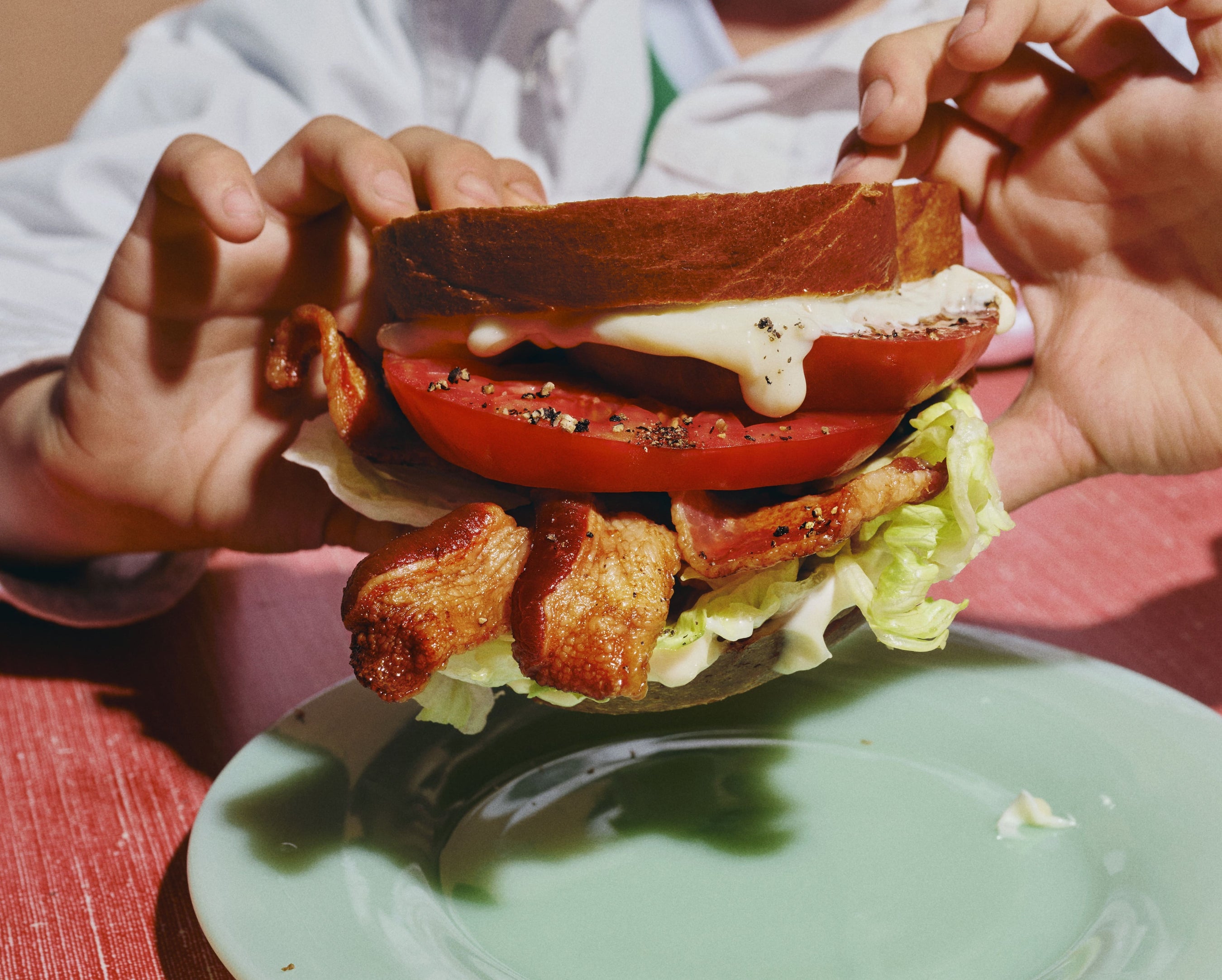 Original Mayo | Classic Creamy Mayo by Molly Baz | Ayoh!